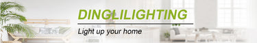 DINGLILIGHTING | DLLT | Focus on Home Lighting | Provide Smart Lights ...